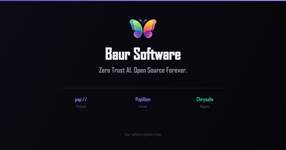 Baur Software — Zero Trust Internet. Open Source Forever.